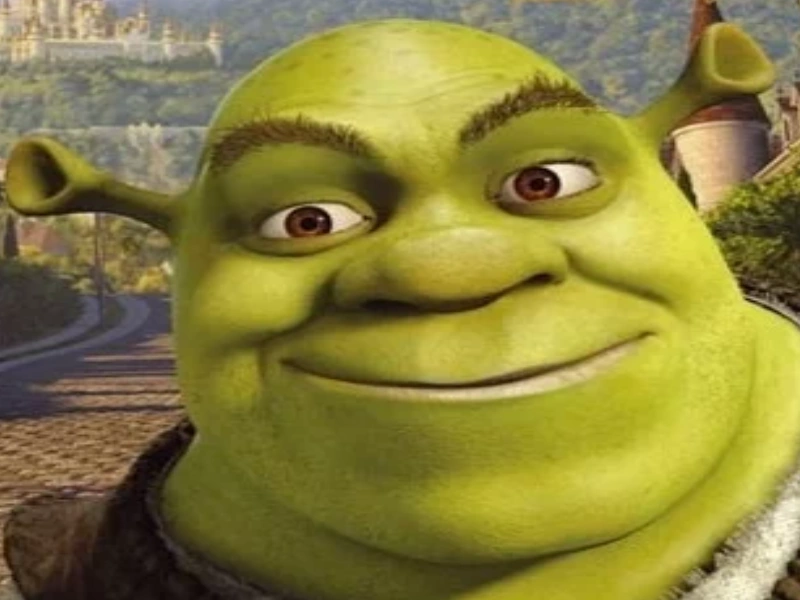 Shrek | DiamondMinerStudios Wikia | FANDOM powered by Wikia