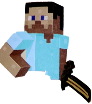 Steve | Diary of an 8-bit Warrior Wiki | Fandom