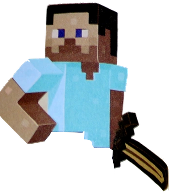 Steve | Diary of an 8-bit Warrior Wiki | Fandom