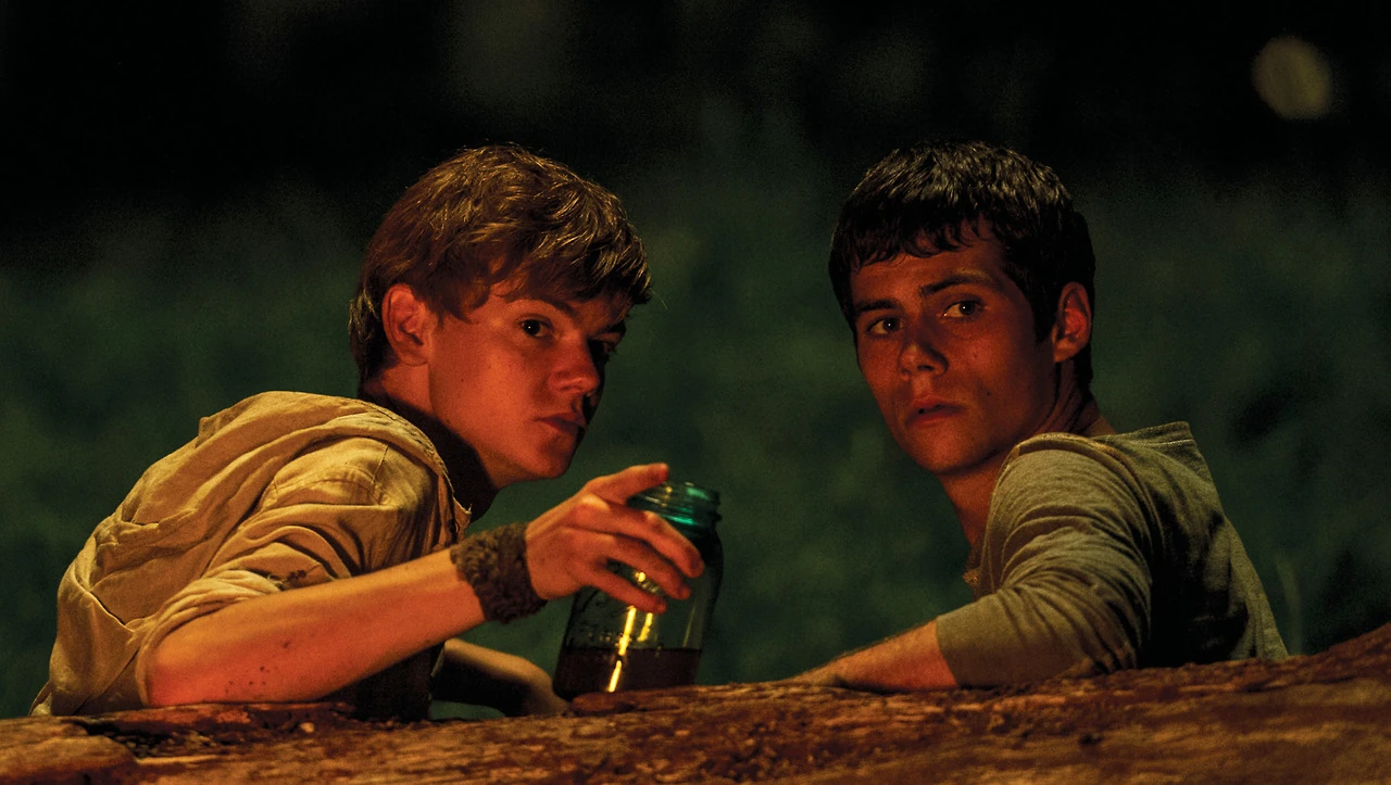 Bild - Newt & Thomas 2.jpg | Maze Runner Wiki | FANDOM powered by Wikia