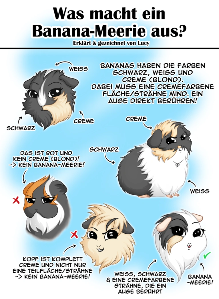 Die Bananas | Die Meeries Wiki | Fandom