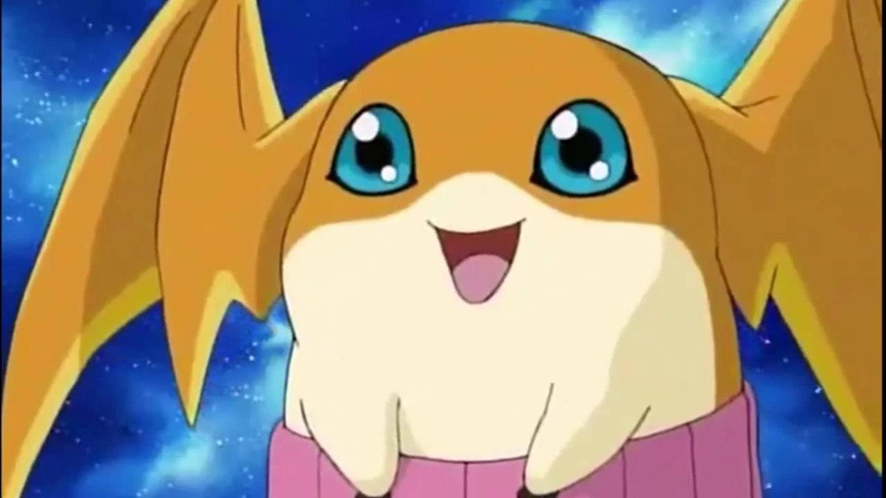 Patamon | Digimon Frontier Wiki | Fandom