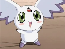 Culumon (Tamers) | Digimon Wiki | FANDOM powered by Wikia