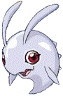 Gomamon (Adventure) | DigimonWiki | Fandom