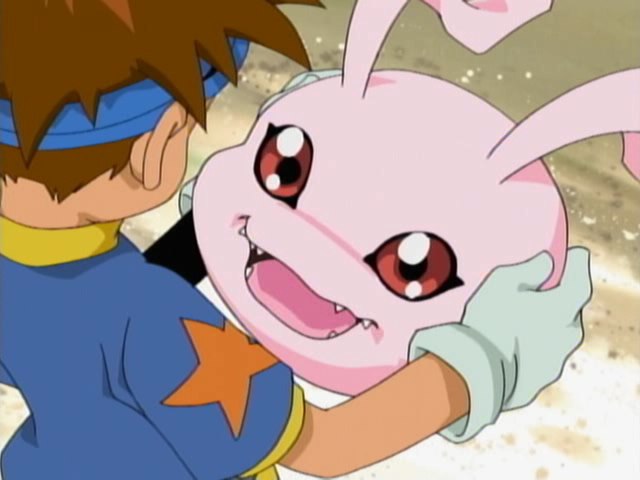 Koromon Digimon Digital Monsters Wiki Fandom Powered By Wikia
