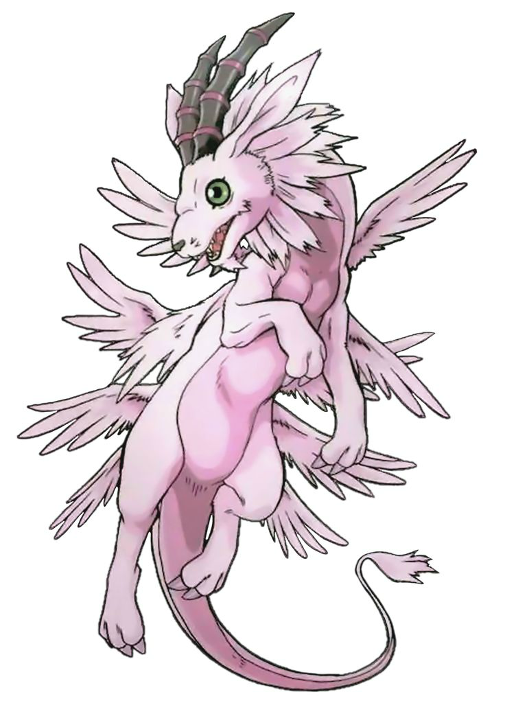 Gatomon Adventure Digimon Wiki Fandom Powered By Wikia