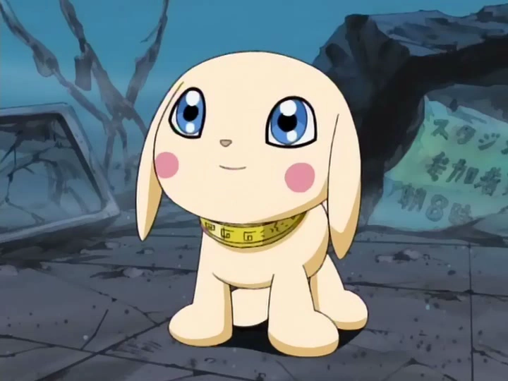 Salamon | Wiki Digituentirol | FANDOM powered by Wikia