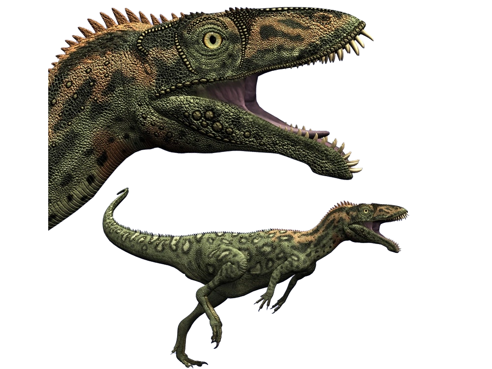 Masiakasaurus | Dinosaur Wiki | FANDOM powered by Wikia