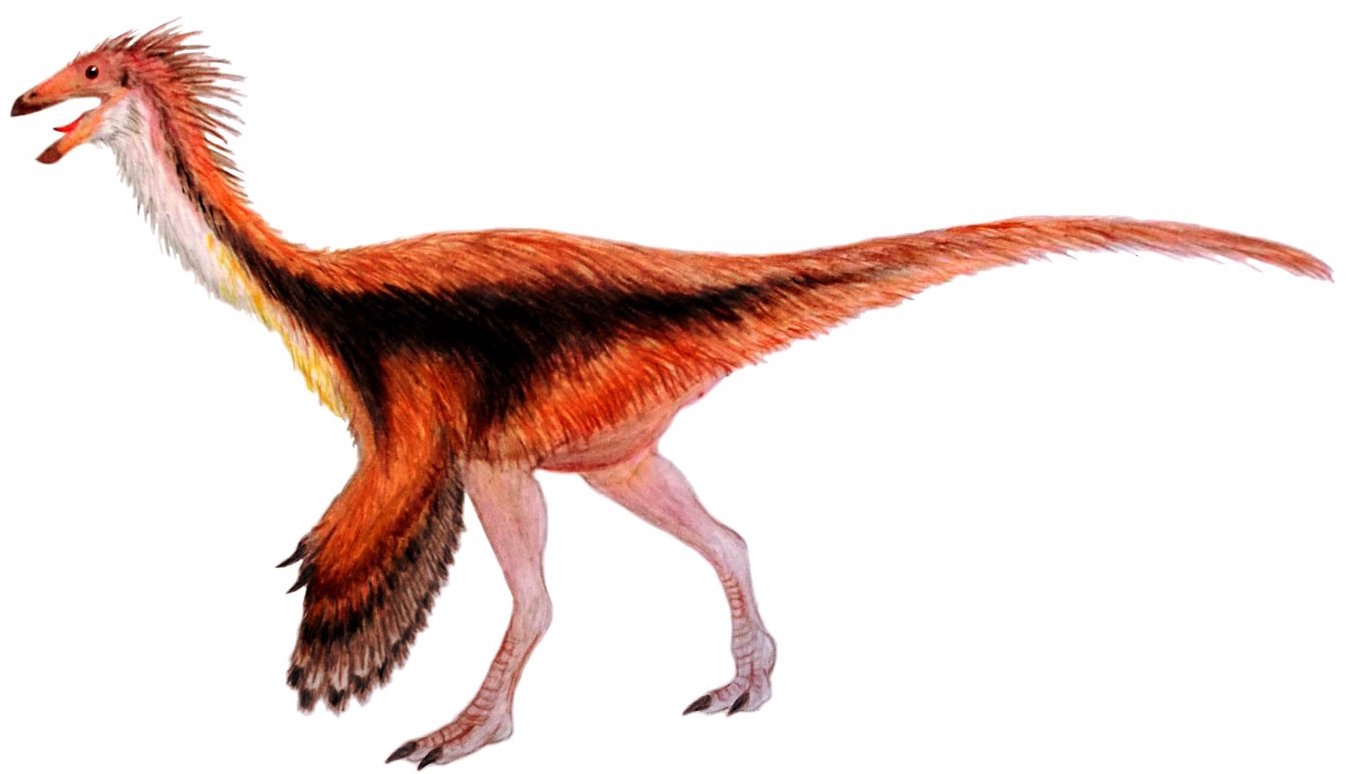 Image - Gallimimus bullatus.jpg | Dinosaur Wiki | FANDOM powered by Wikia