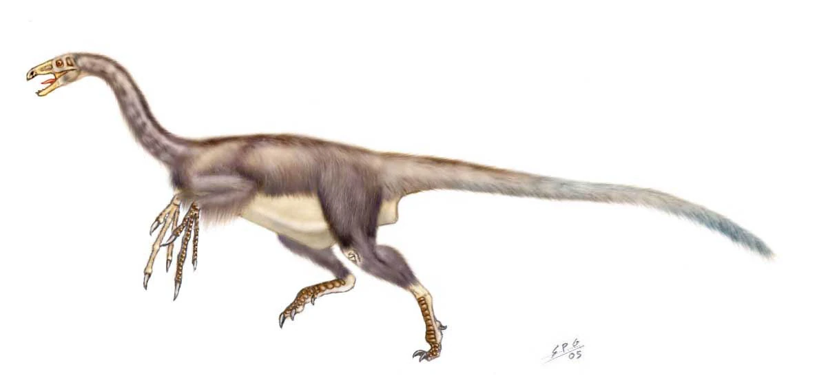 Falcarius | Wiki Dino | FANDOM powered by Wikia