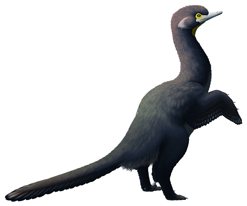 Halszkaraptor | Dinosaur Wiki | FANDOM powered by Wikia