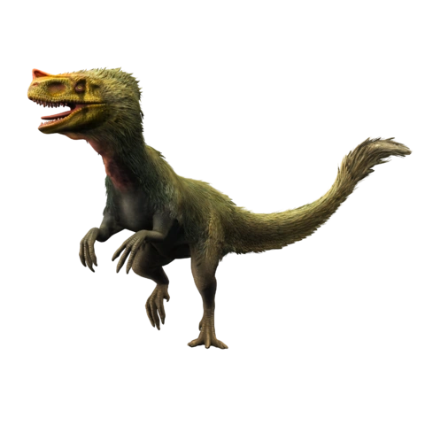 Proceratosaurus | Dinosaur Wiki | FANDOM powered by Wikia