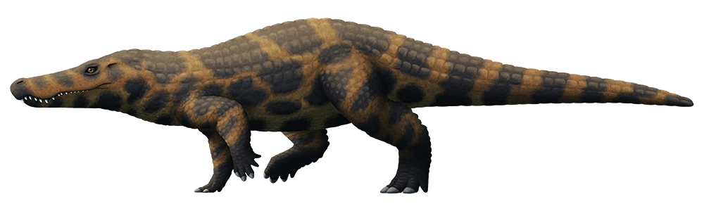 Boverisuchus | Dinosaur Wiki | FANDOM powered by Wikia