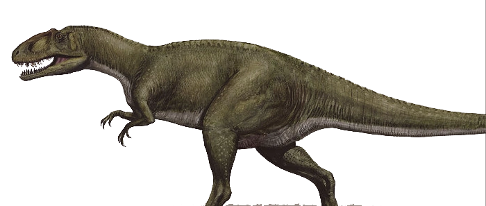 Sinraptor | Dinosaur Wiki | FANDOM powered by Wikia