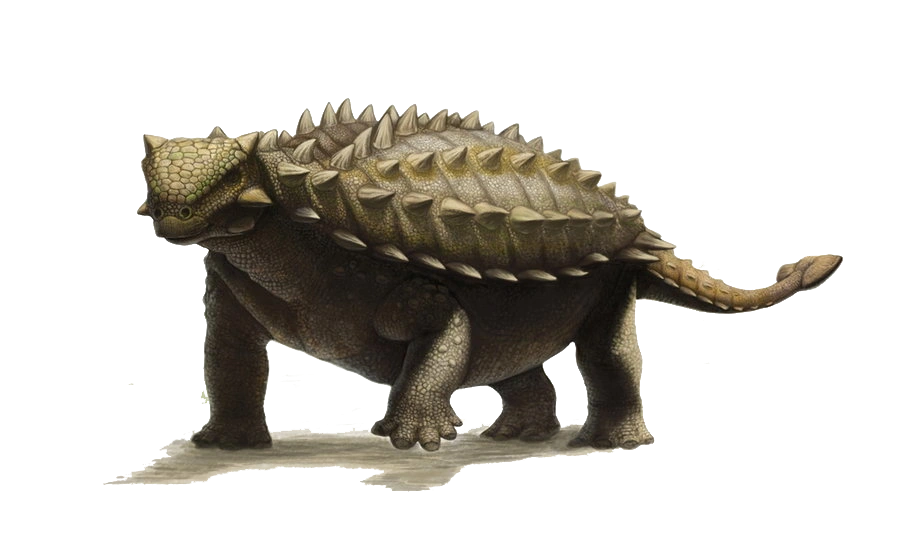Talarurus | Dinosaur Wiki | FANDOM powered by Wikia