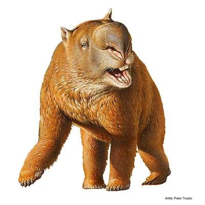 Diprotodon | Wiki Dino | FANDOM powered by Wikia