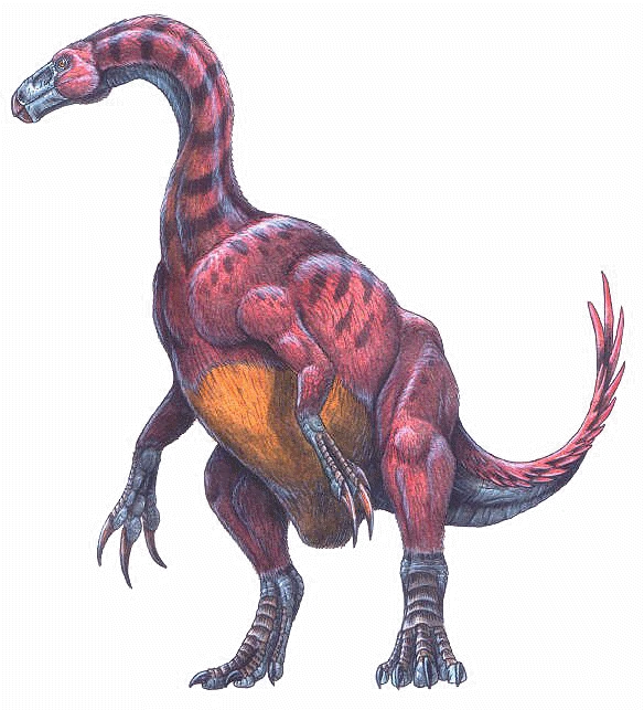 Alxasaurus | Dinosaur Wiki | FANDOM powered by Wikia