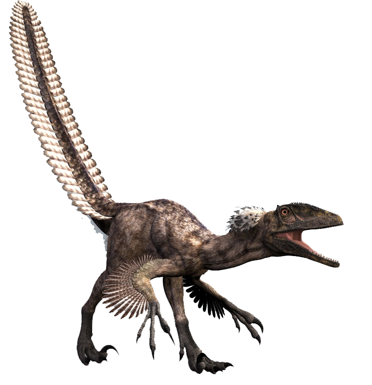 Deinonychus Dinosaur Wiki Fandom Powered By Wikia