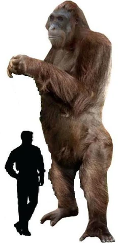 Imagen - Gigantopithecus.jpg | Wiki Dino | FANDOM powered by Wikia