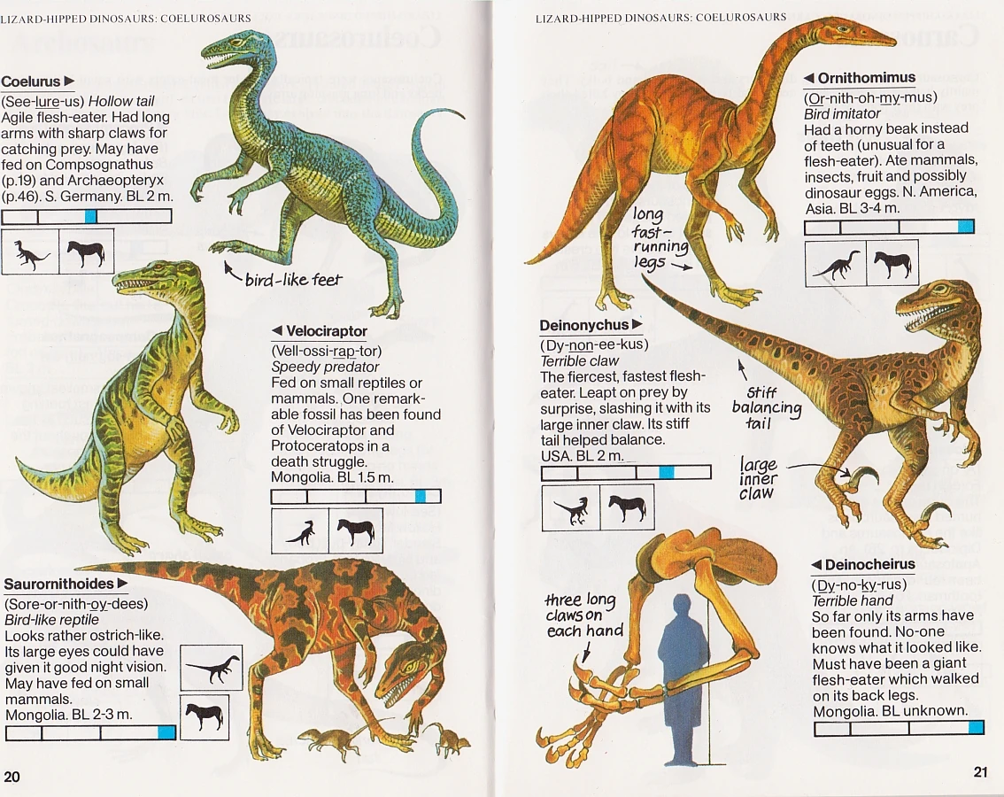 Image - Coelurosaurs.jpg | Dinosaur Wiki | FANDOM powered by Wikia