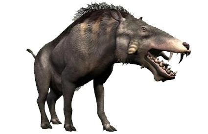 Entelodon | Dinosaur Wiki | FANDOM powered by Wikia