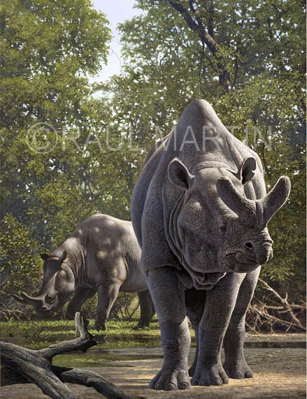 Brontotherium | Wiki Dino | FANDOM powered by Wikia