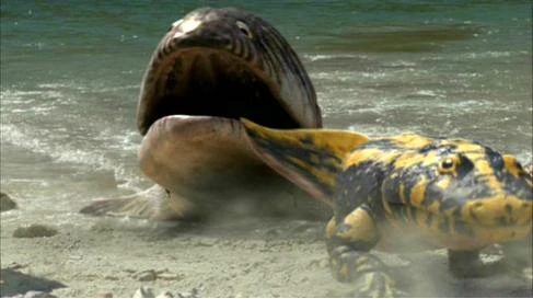 Hyneria | Wiki Dino | FANDOM powered by Wikia