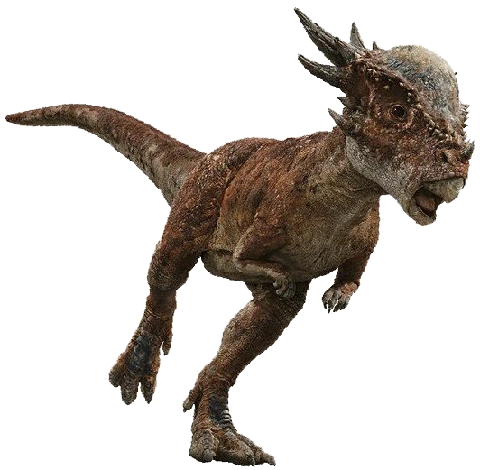 Stygimoloch | Dinosaur Wiki | FANDOM powered by Wikia