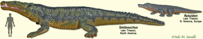 Image - PhytosaurModels.jpg | Dinosaur Wiki | FANDOM powered by Wikia