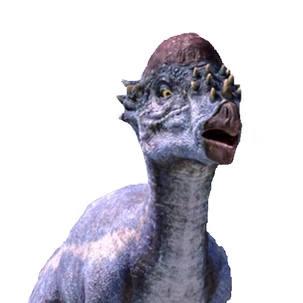 Pachycephalosaurus | DinoPedia - The Dino Dan Wiki | Fandom