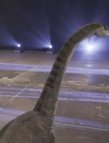 Bellusaurus | DinoPedia - The Dino Dan Wiki | Fandom