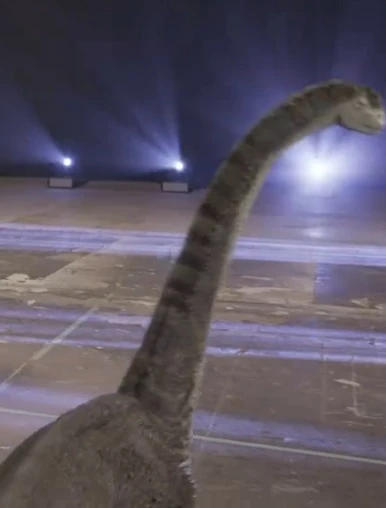 Bellusaurus | DinoPedia - The Dino Dan Wiki | Fandom