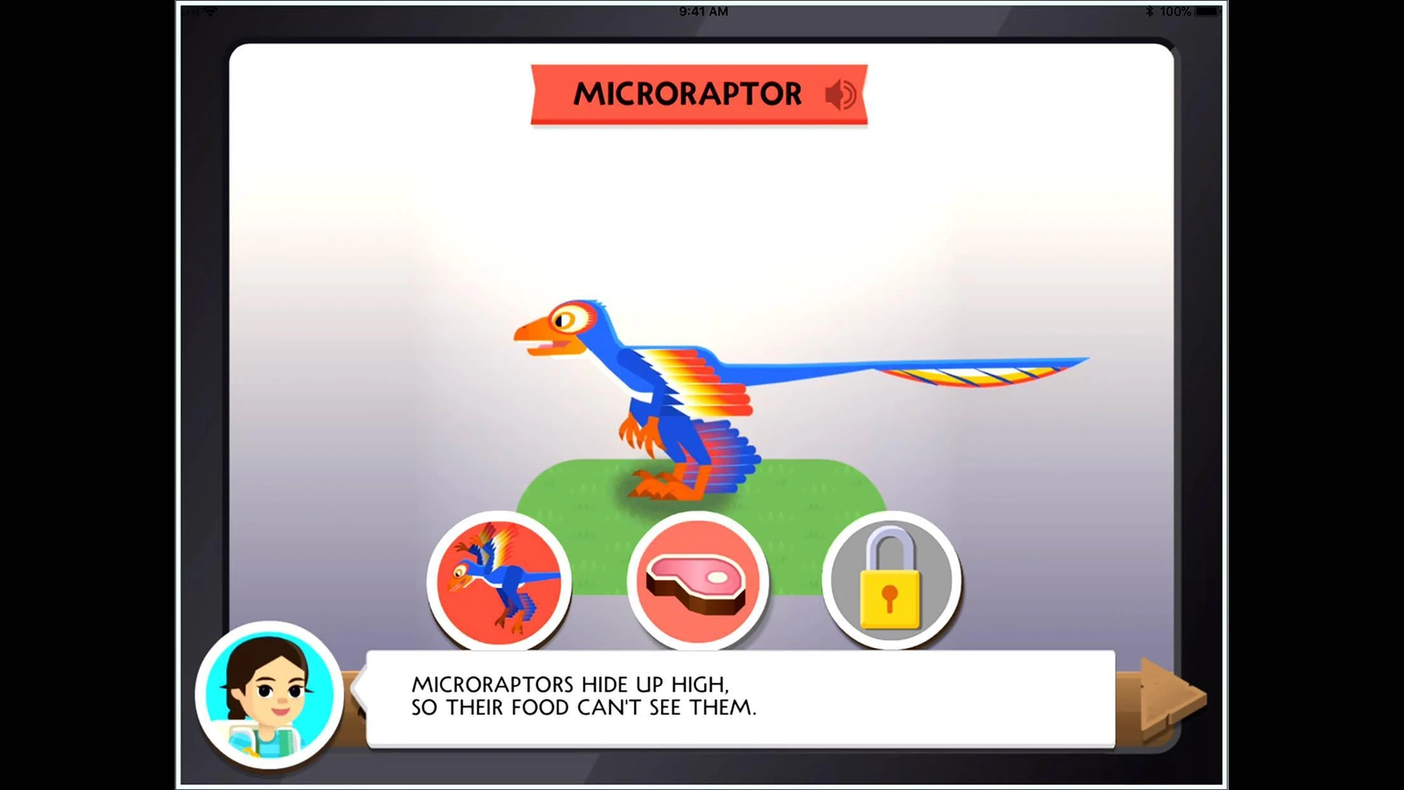 Microraptor | DinoPedia - The Dino Dan Wiki | Fandom