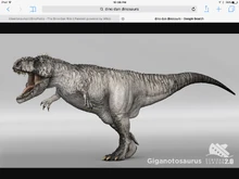 Giganotosaurus | DinoPedia - The Dino Dan Wiki | Fandom