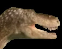 Nanotyrannus | DinoPedia - The Dino Dan Wiki | Fandom