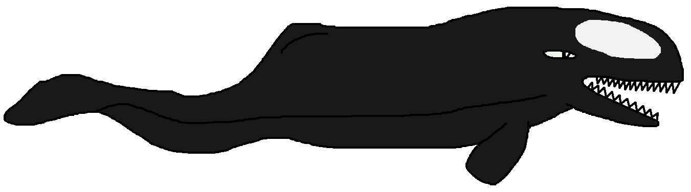 Brygmophyseter | Dinosaur Pedia Wikia | Fandom