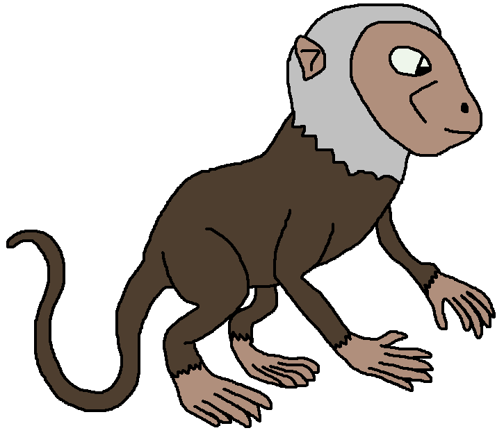 Apidium | Dinosaur Pedia Wikia | Fandom