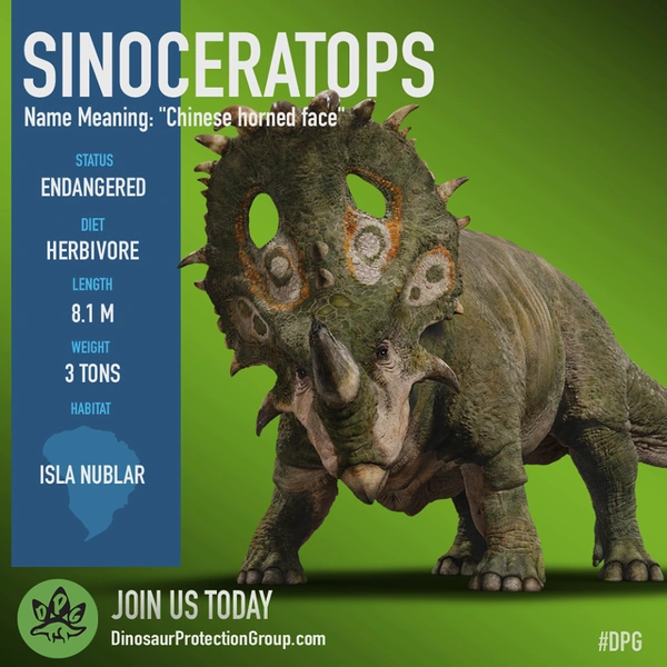 Sinoceratops | Dinosaur Protection Group Wiki | FANDOM powered by Wikia