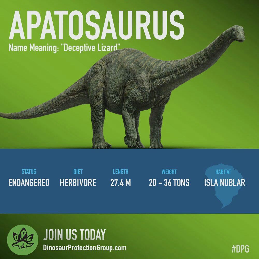 Apatosaurus Dinosaur Protection Group Wiki Fandom Powered By Wikia