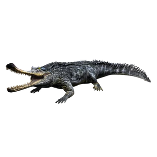 Gryposuchus | Dinosaur Protection Group Wiki | Fandom