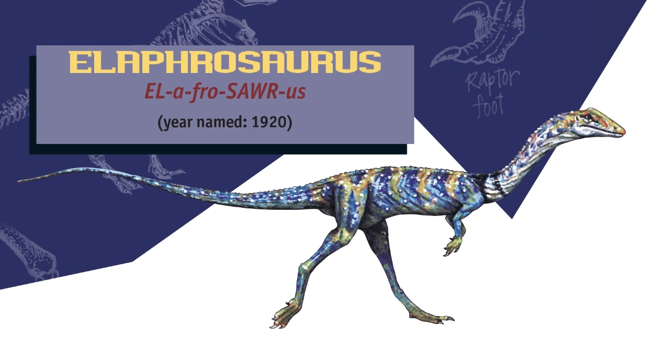 Elaphrosaurus