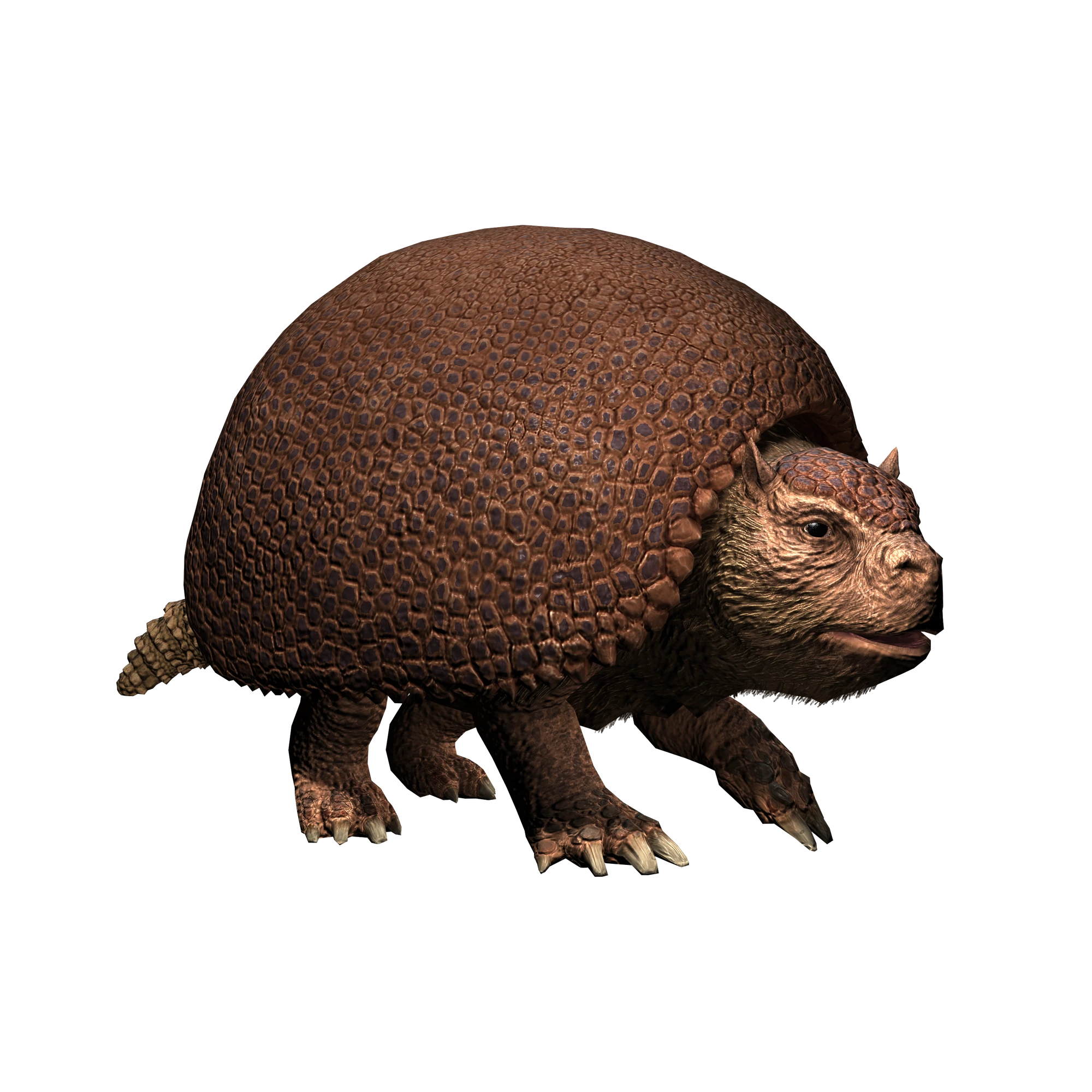 Glyptodon | Dinosaur Protection Group Wiki | Fandom