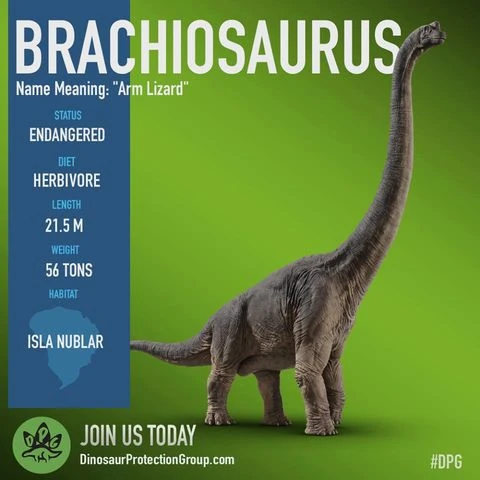 Brachiosaurus | Dinosaur Protection Group Wiki | Fandom