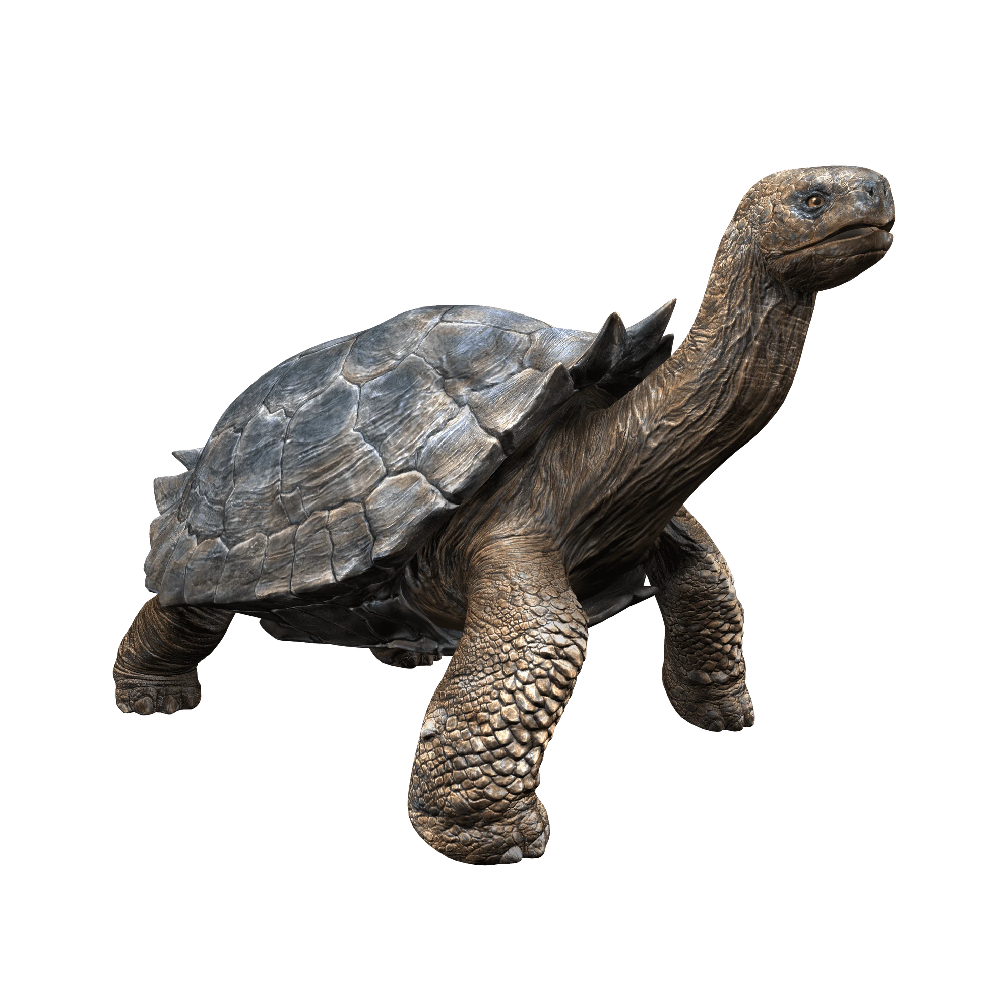 Carbonemys | Dinosaur Protection Group Wiki | Fandom