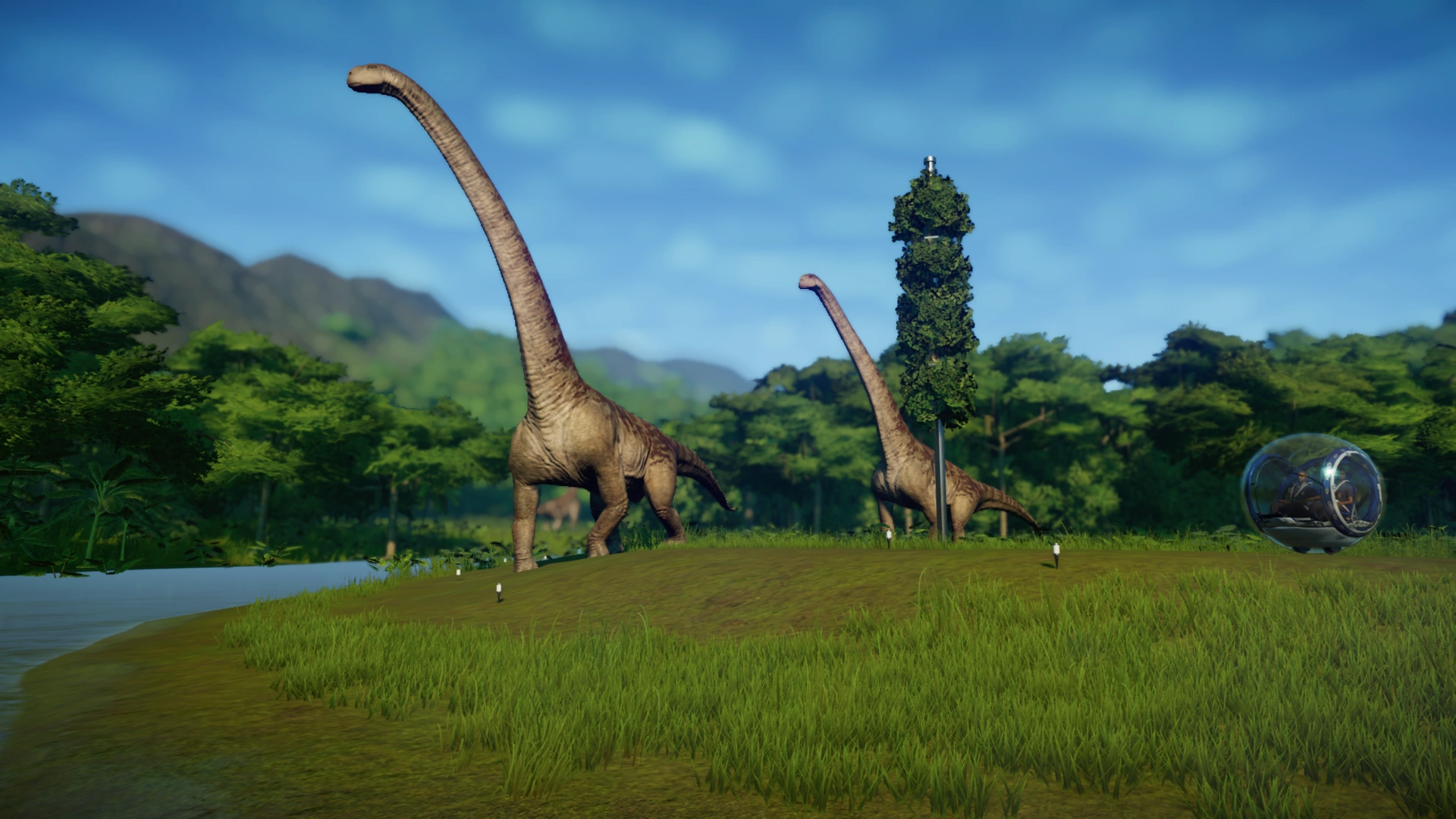 Dreadnoughtus | Dinosaur Protection Group Wiki | Fandom