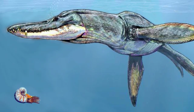 Pliosaurus | Dinosaurier Wiki | Fandom