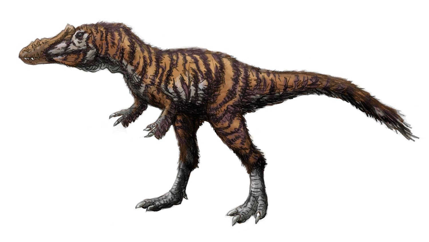 Qianzhousaurus | Dinosaurier Wiki | FANDOM powered by Wikia