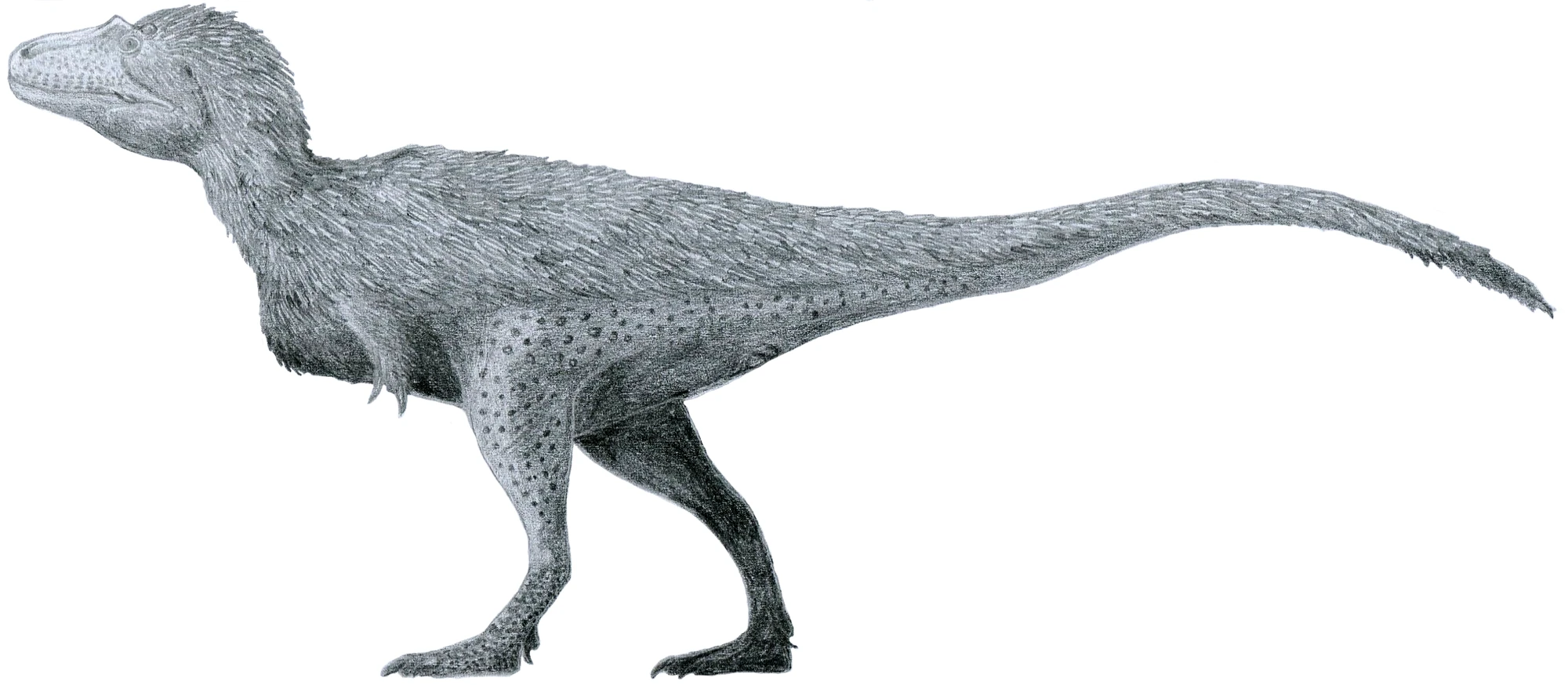 Lythronax | Dinosaurier Wiki | Fandom