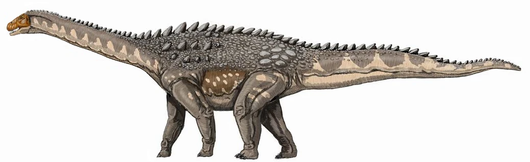Ampelosaurus | Dinosaurier Wiki | Fandom
