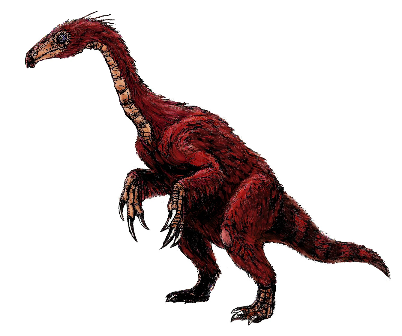 Segnosaurus | Dinosaurier Wiki | Fandom